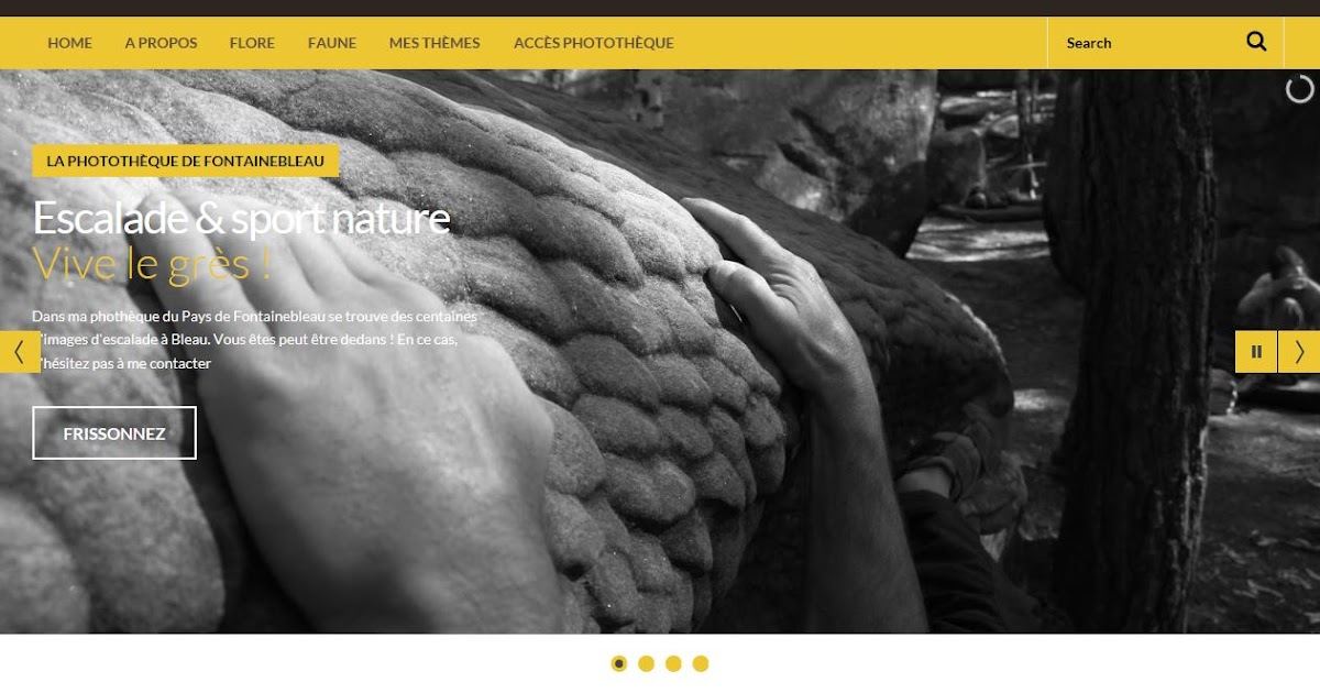 A propos du site ~ FontaineBleau Passion