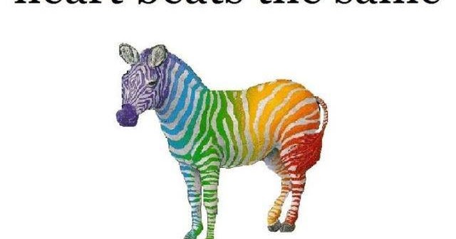 MzTeachuh: Special Needs Weekly Update 7/28/13