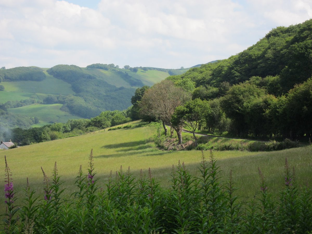 Seeing Anew: Above Cwm Rheidol