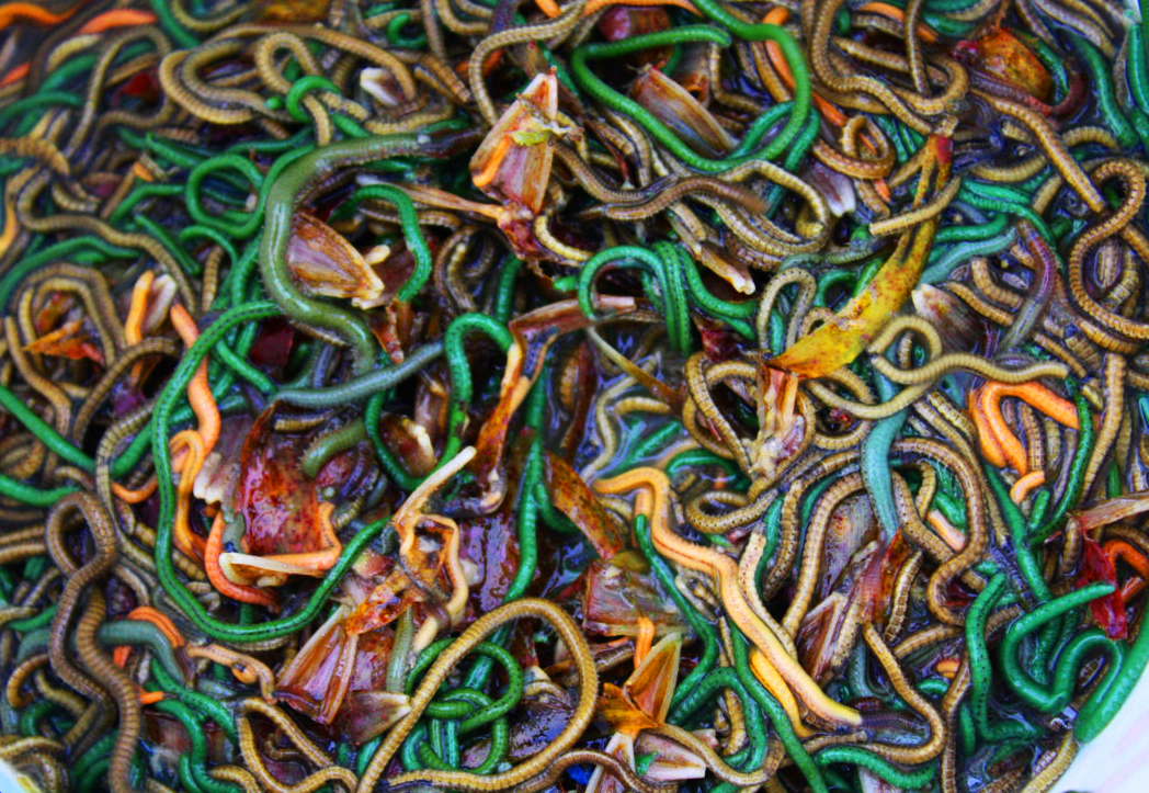 Nyale Smell Culture Festival in Lombok Island