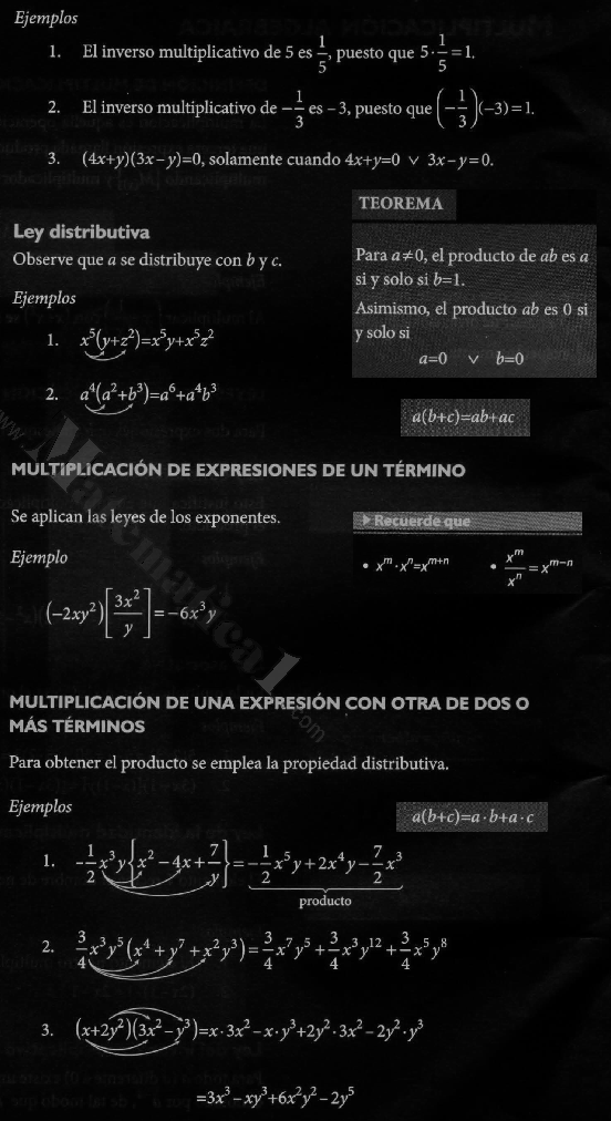 MULTIPLICACION DE POLINOMIOS EJEMPLOS Y EJERCICIOS RESUELTOS PDF