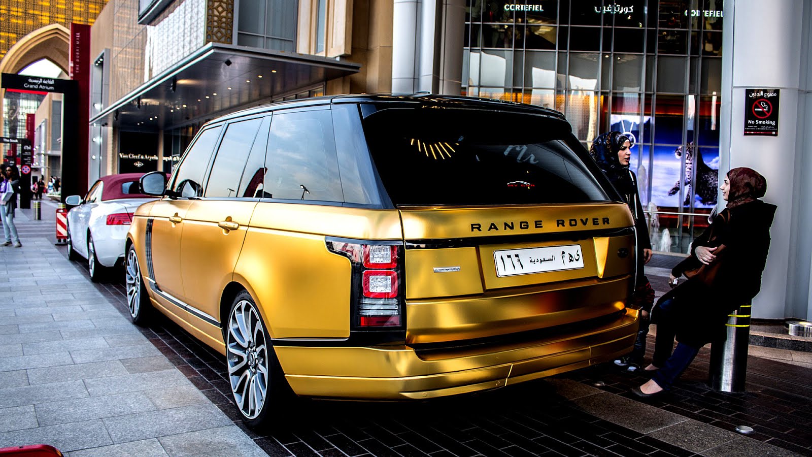 RFA Gold Rover (A271) - Gold Choices