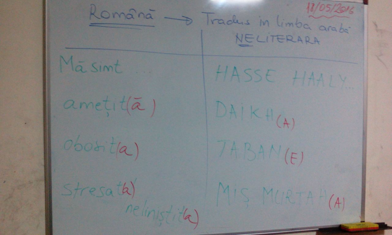 Expresii In Limba Araba (3) | Learn Arabic Amman