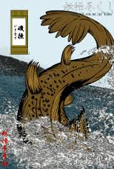 PLANETA AGUA: I S O N A D E : " MONSTRUO MARINO DEL JAPÓN