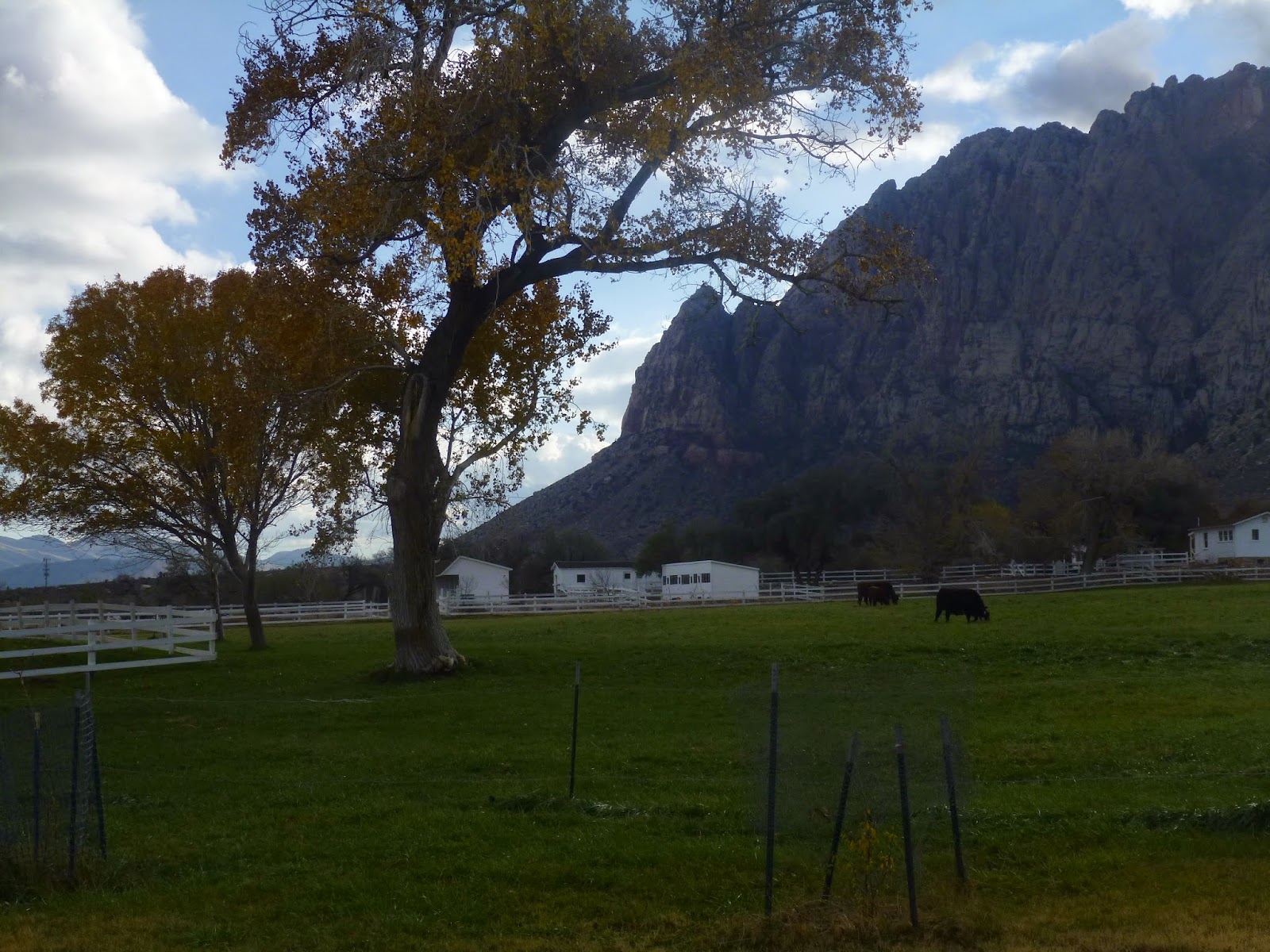 gold country girls: A Short Visit to Spring Mountain Ranch Nevada