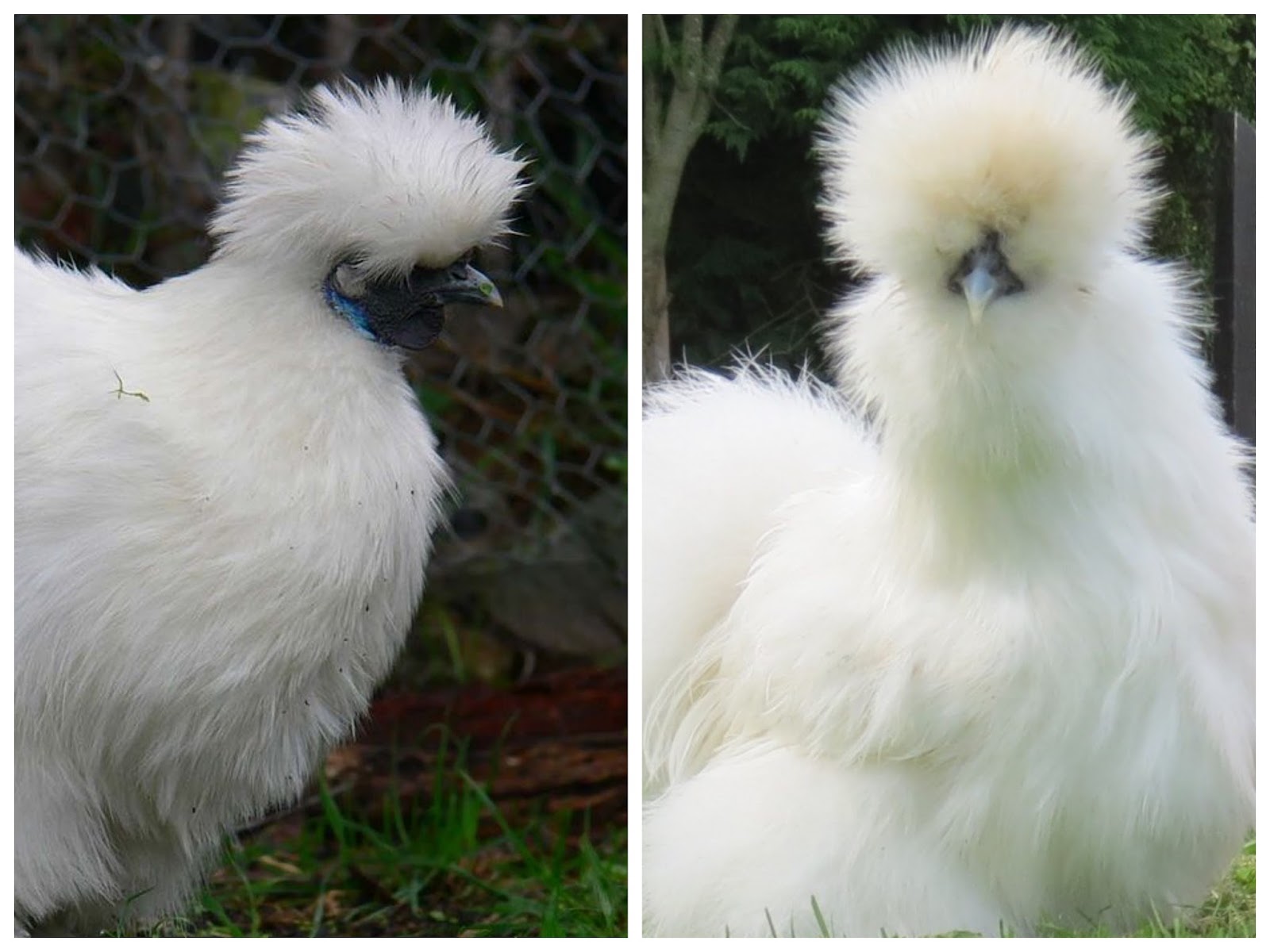 Seiklused ja jutud: Beebid ei hüüa tulles...