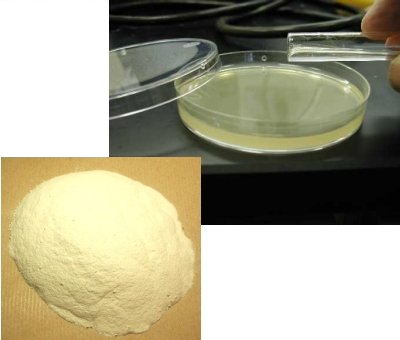 LAB. CLINICO M&T C.A. : Agar Noble