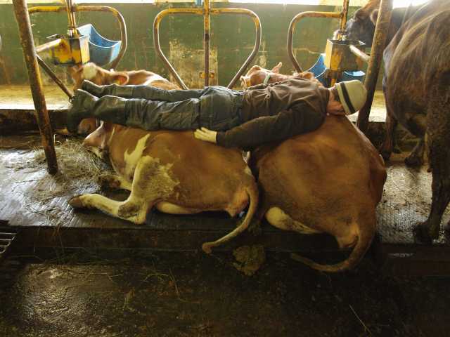 The Many Faces of Planking ~ Wreckamic's Blog