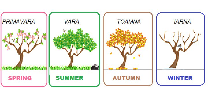 Hai sa invatam Engleza !: Anotimpurile