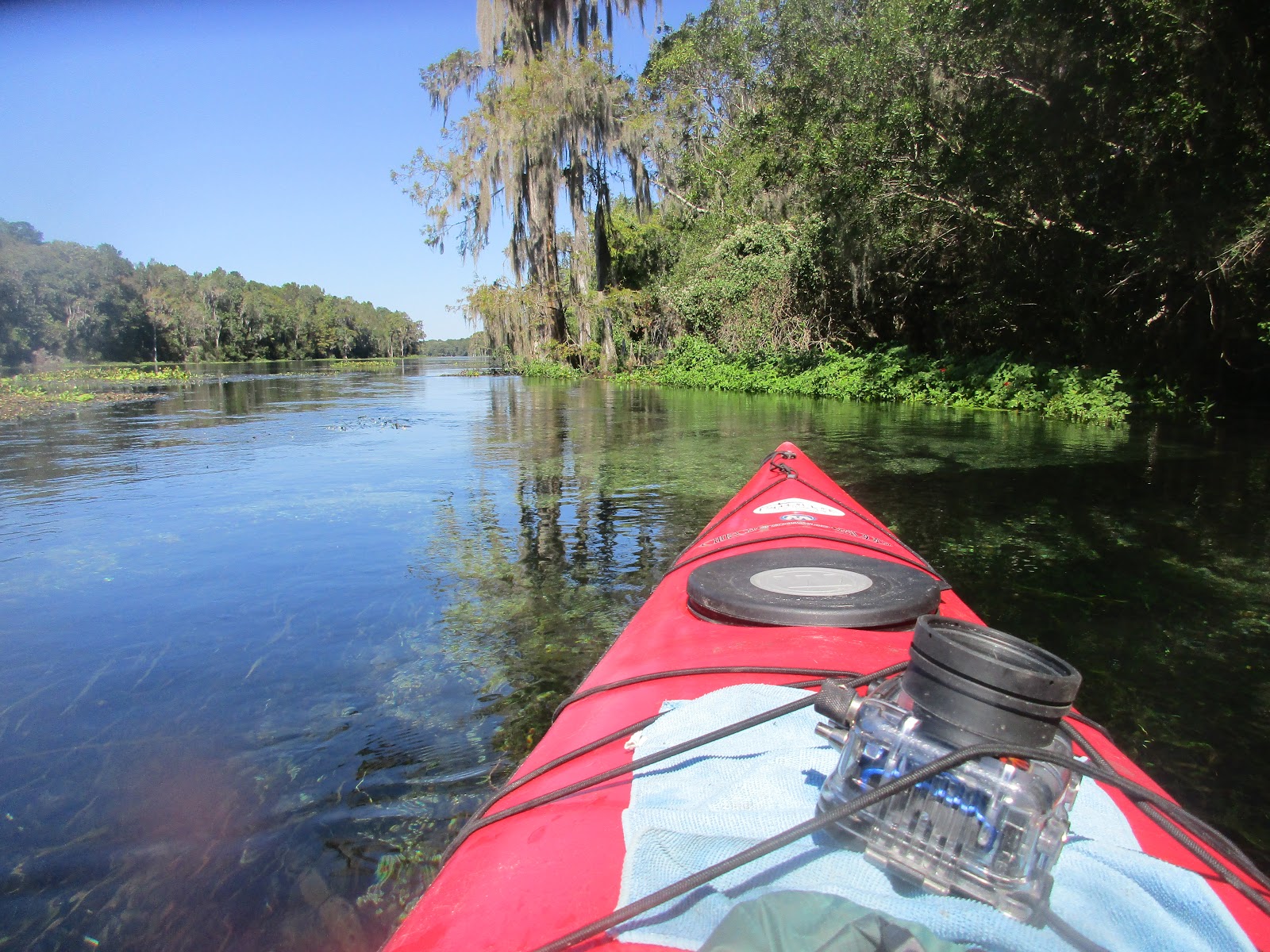 Dave's Yak Tales: Wacissa River