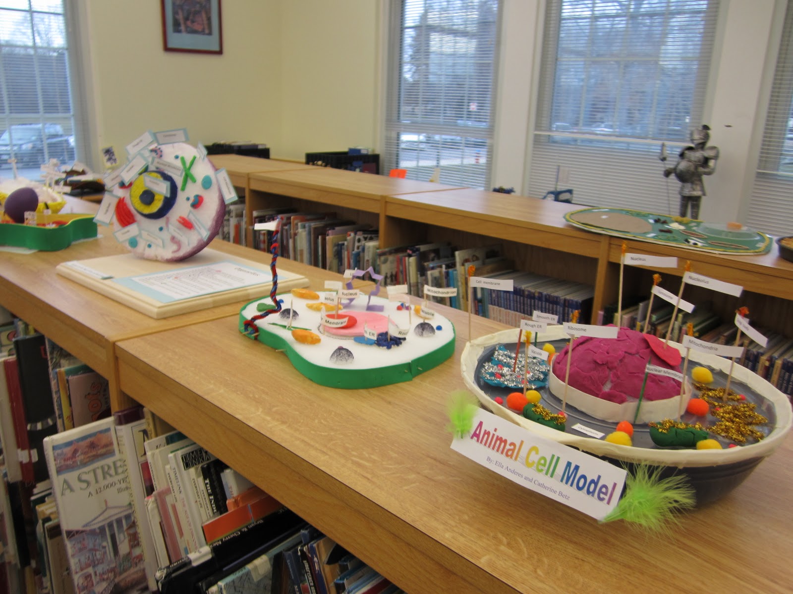 Setauket Elementary School Library: Mr Guez's 6th Grade Cell Project