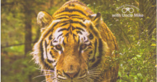 Petersham Bible Book & Tract Depot: A Day at the Zoo with Mike Atnip