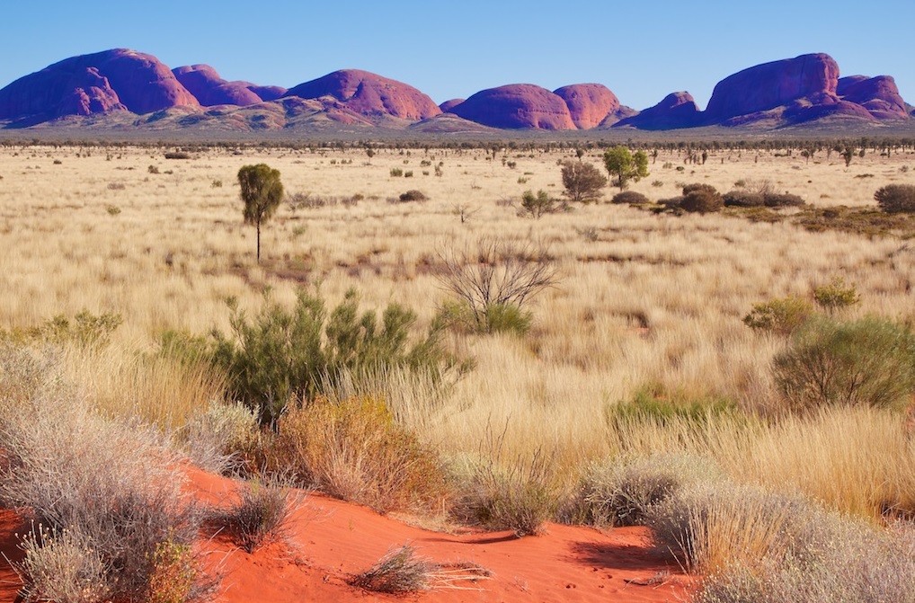 Imparare con la Geografia: 42 Il pianeta Terra - Le savane