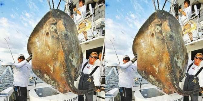 5 Misteri Kemunculan Monster Laut Yang Menggegerkan Dunia | TAHUKAH ANDA