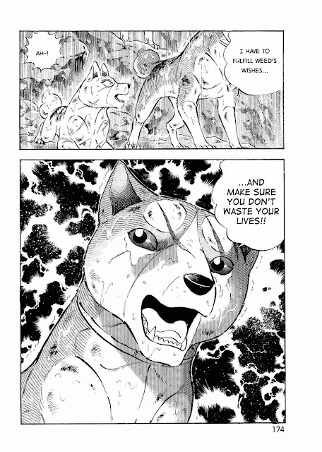 Fanta's Ginga Blog: Snippet: Joe Cries Blood