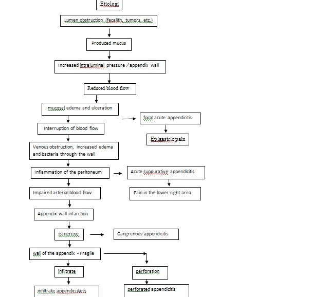 Nursing Care Plan: Pathophysiology of Appendicitis