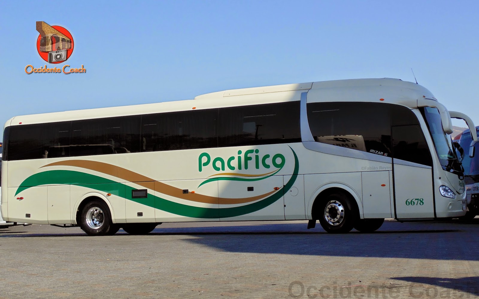 Occidente Coach: Pacífico