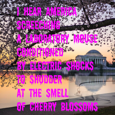 TheNewVerse.News : POST WASHINGTON'S BIRTHDAY BLUES