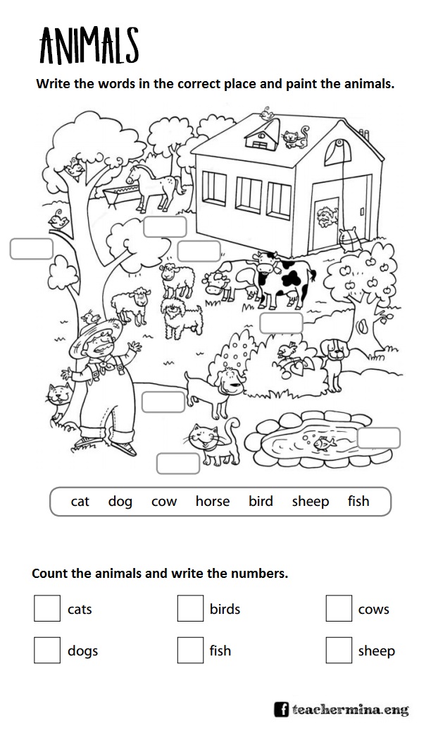 Teachermina: [activity] animals