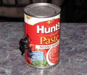Provident Living and Me: Identifying and Handling Spoiled Canned Food