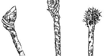 Dies mei: Shepherd's rod and staff