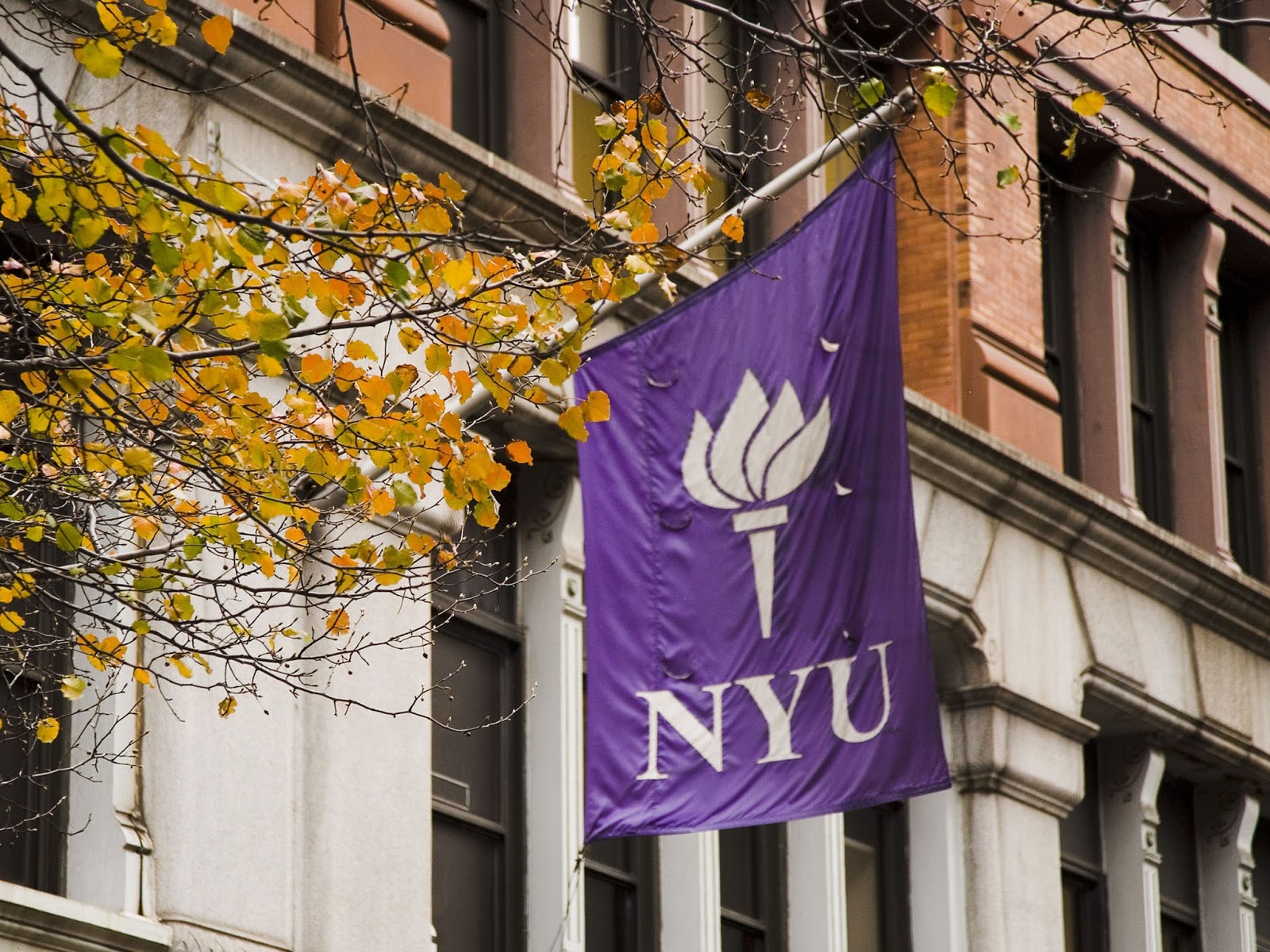 Eduaction For Infoz: Online Education of New York University