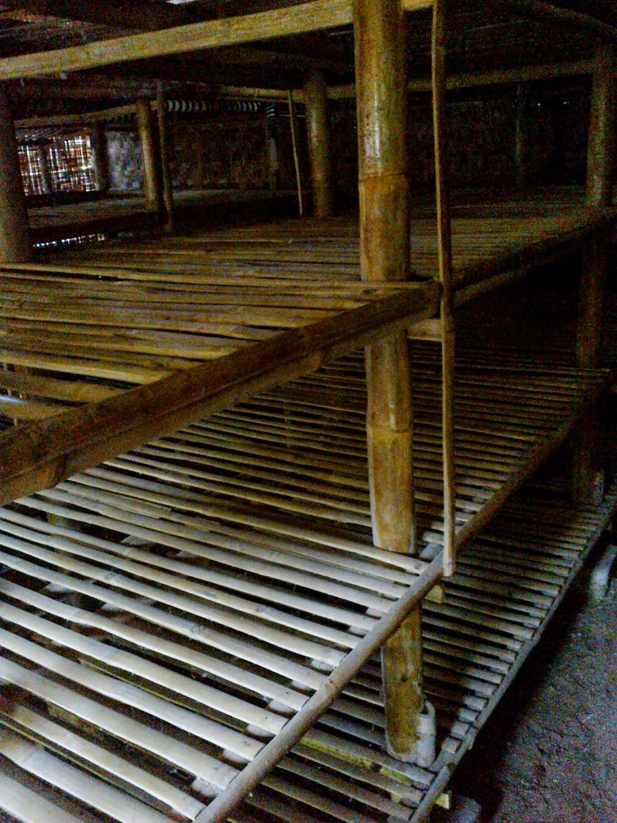 Penggunaan Rak Baglog