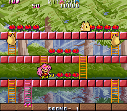 Super Adventures in Gaming: Rod-Land (Arcade)