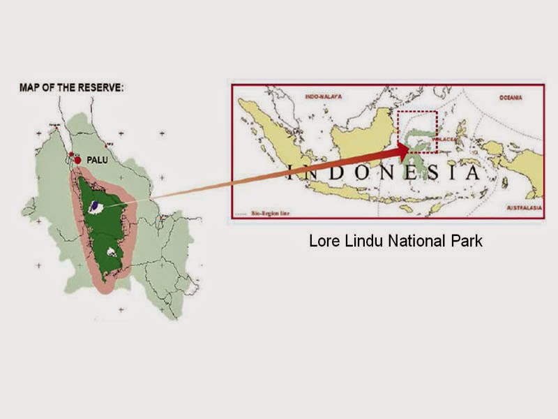 Taman Nasional Lore Lindu (TNLL) - Osaint Street Style