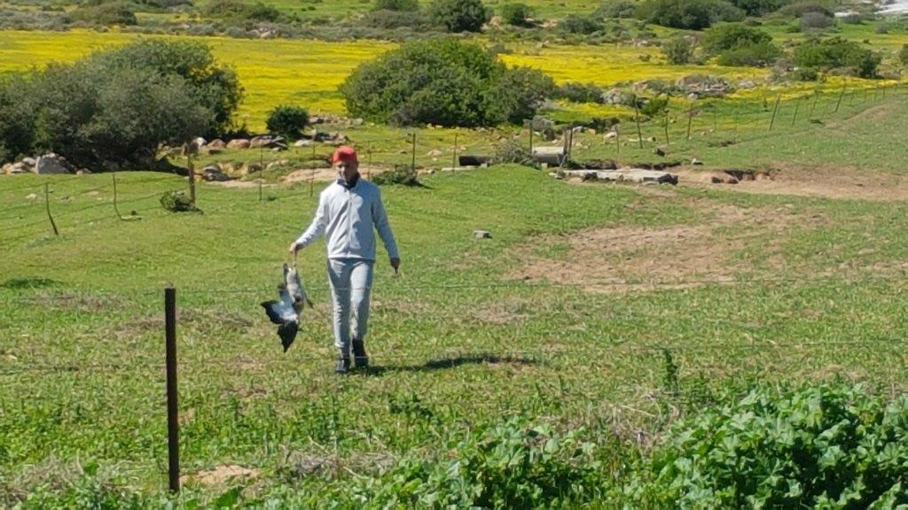 Grotmanne: Wilde Makou Classic 2017