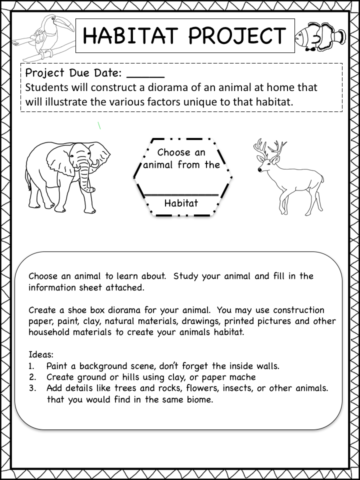 Kara's Happy Classroom: Animal Habitats Project