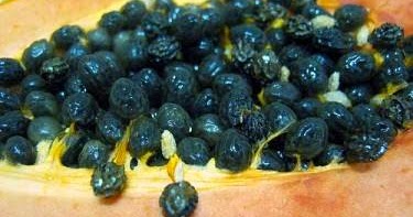 TIBA YA MBA KWA KUTUMIA MBEGU ZA MPAPAI ~ Mzizi Mkavu