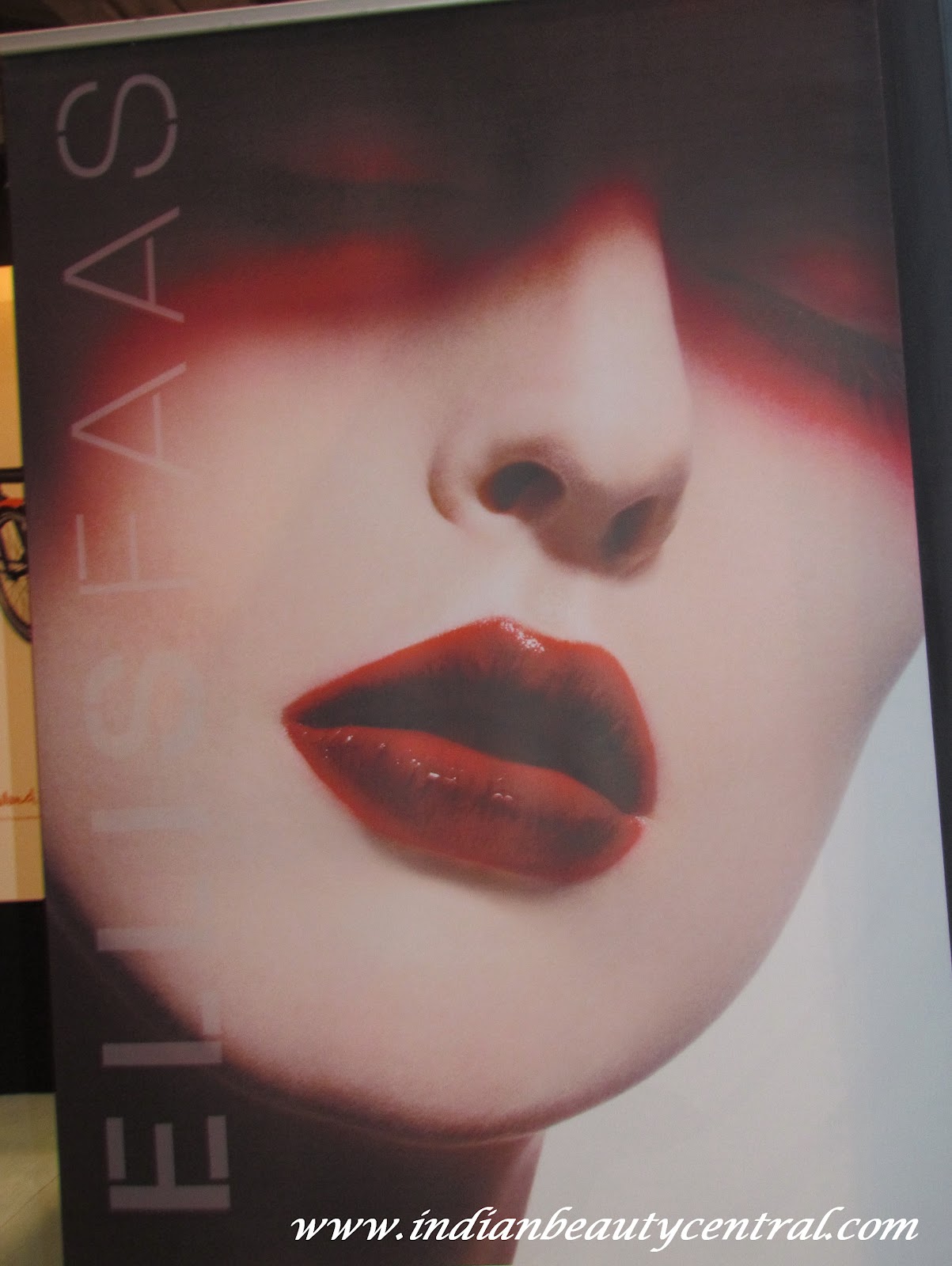 Indian Beauty Central: My meeting with Ellis Faas at Wills Lifestyle ...