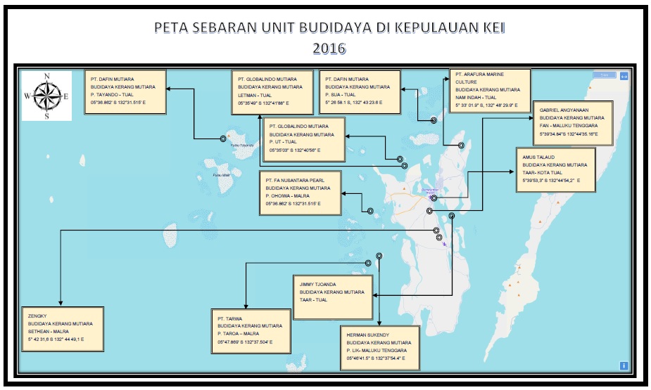 Hadi Purwanto: Budidaya Kerang Mutiara di Kepulauan Kei