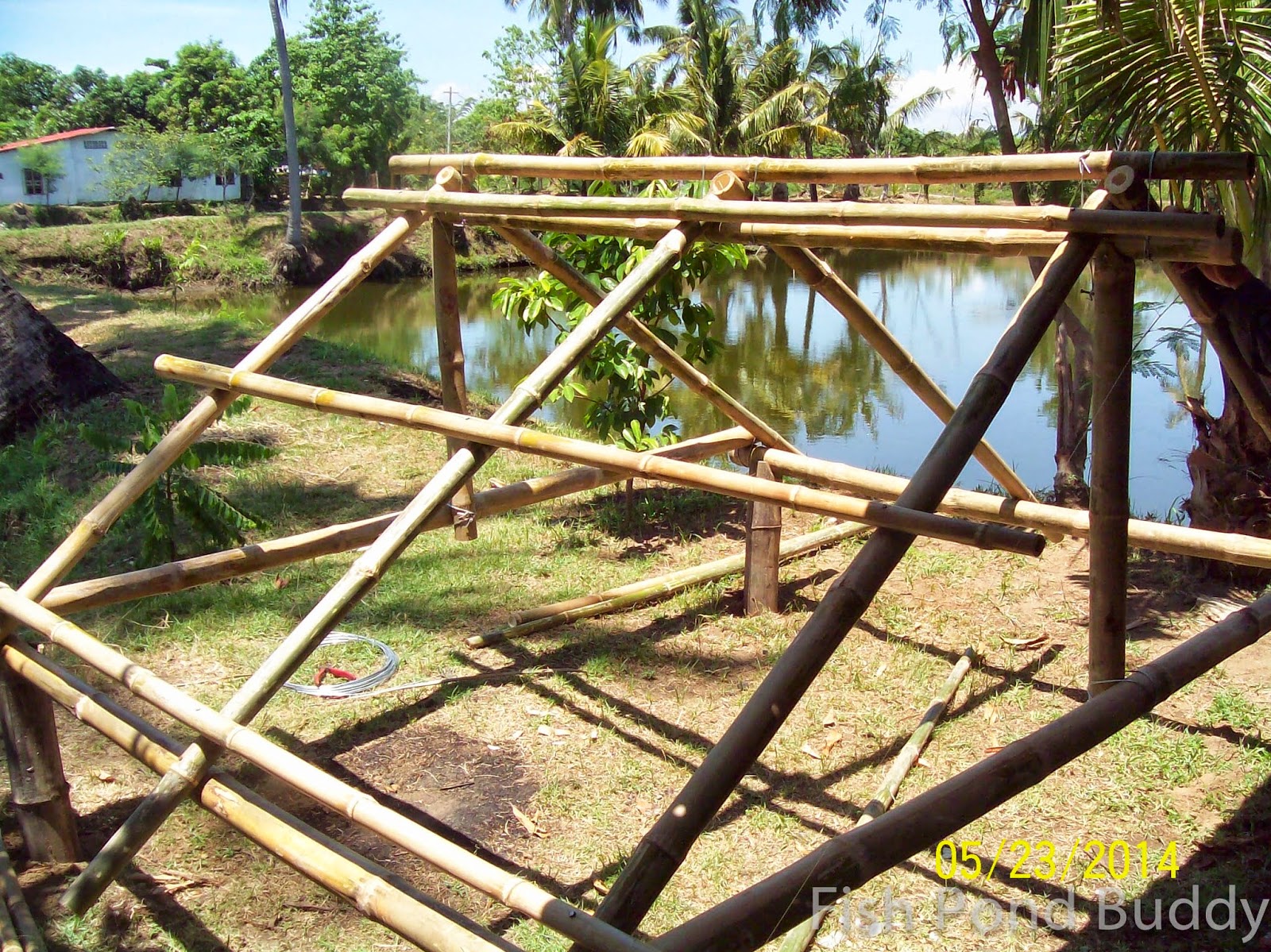 Fish Pond Buddy: How to Build a Bamboo Farm Hut
