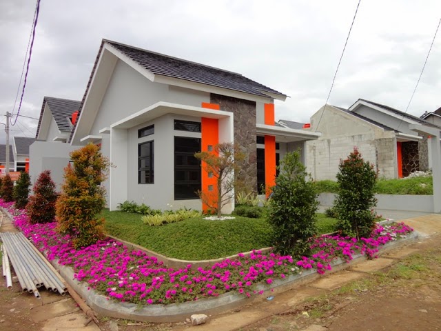 Jual Tanaman Hias Sutra Bombay | Bunga Jam 8 | Bunga Portulaca ...