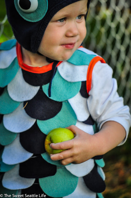Chris and Sonja - The Sweet Seattle Life: DIY Tropical Fish CostumeTutorial