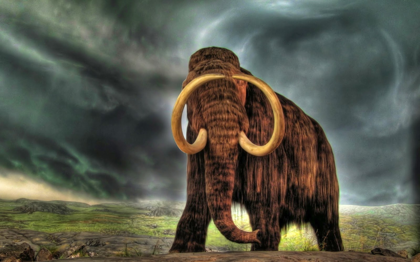 O Livro da Natureza: Mamutes