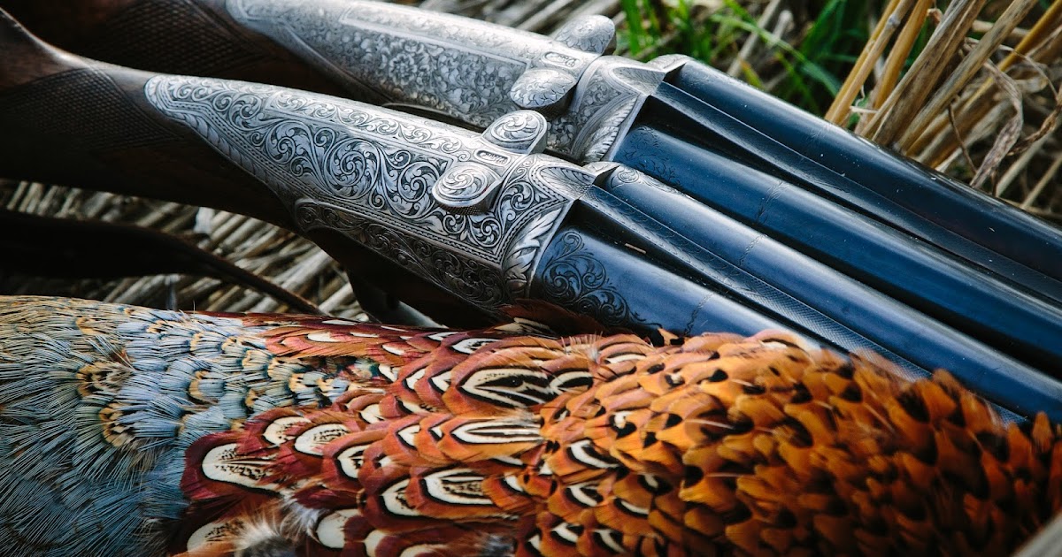 Pointing Dog Blog: Kent Bismuth Ammo Delivers!