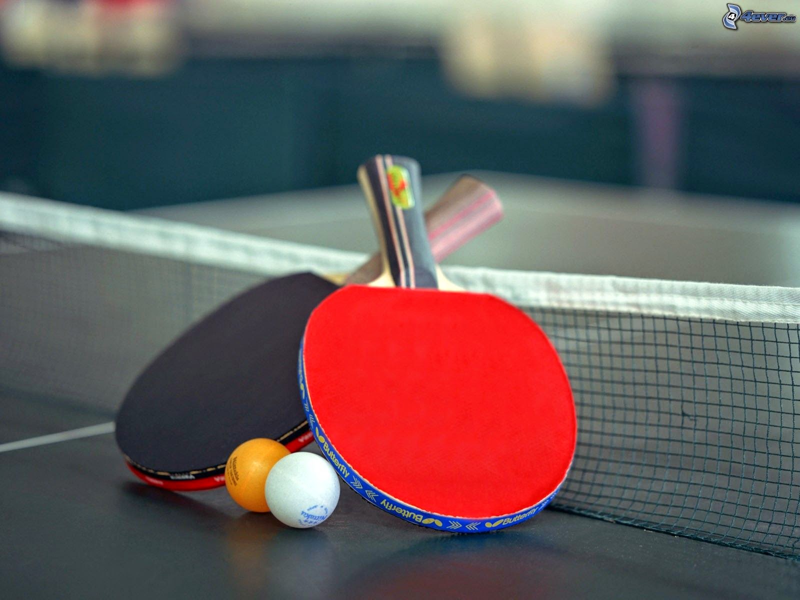 Diferenças Entre Ping Pong E Tenis De Mesa - FDPLEARN