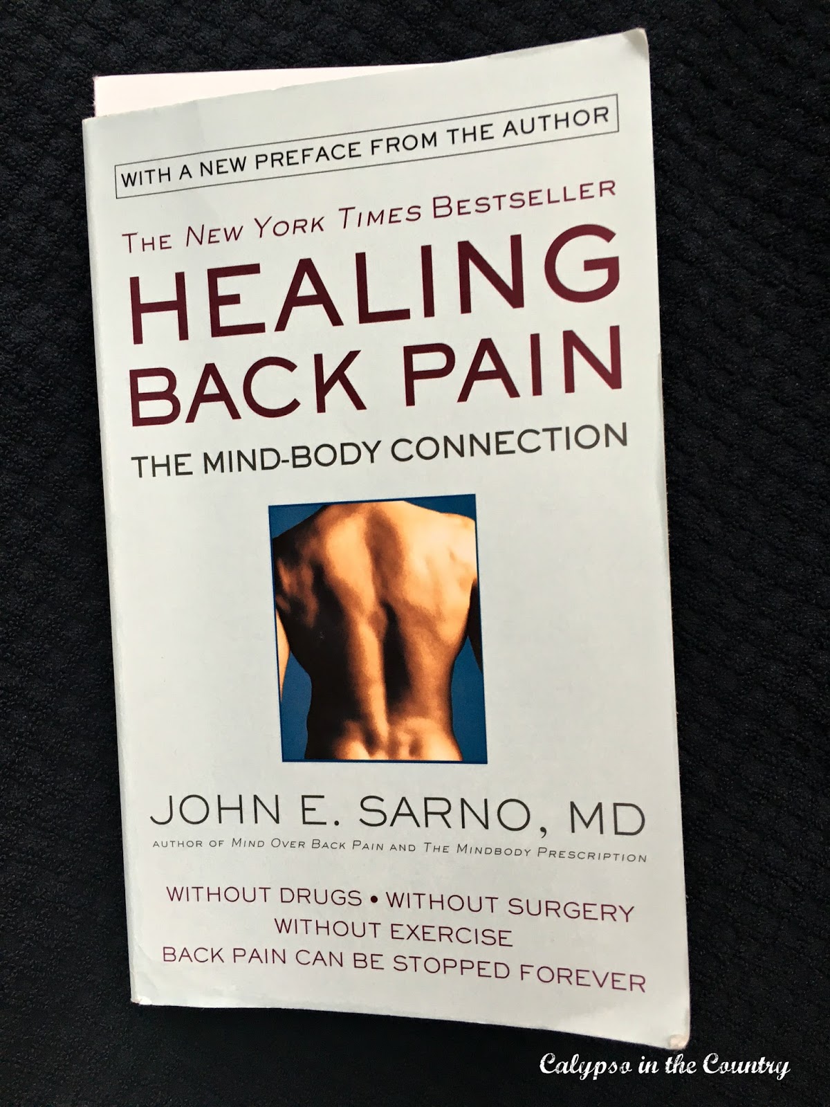 Reading, Shopping and Catching Up On Life - Calypso in the Country