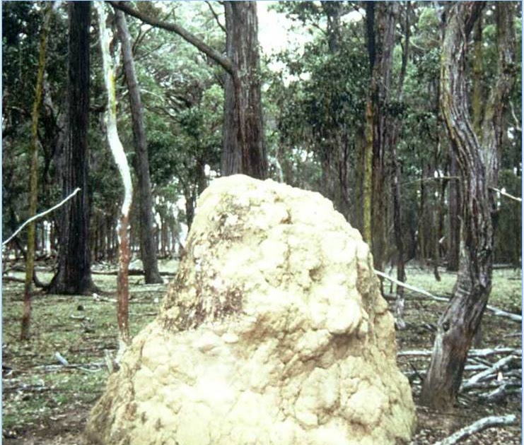 AMALAN SYIRIK DAN KHURAFAT MEMPENGARUHI MASYARAKAT: KESAN AMALAN SYIRIK