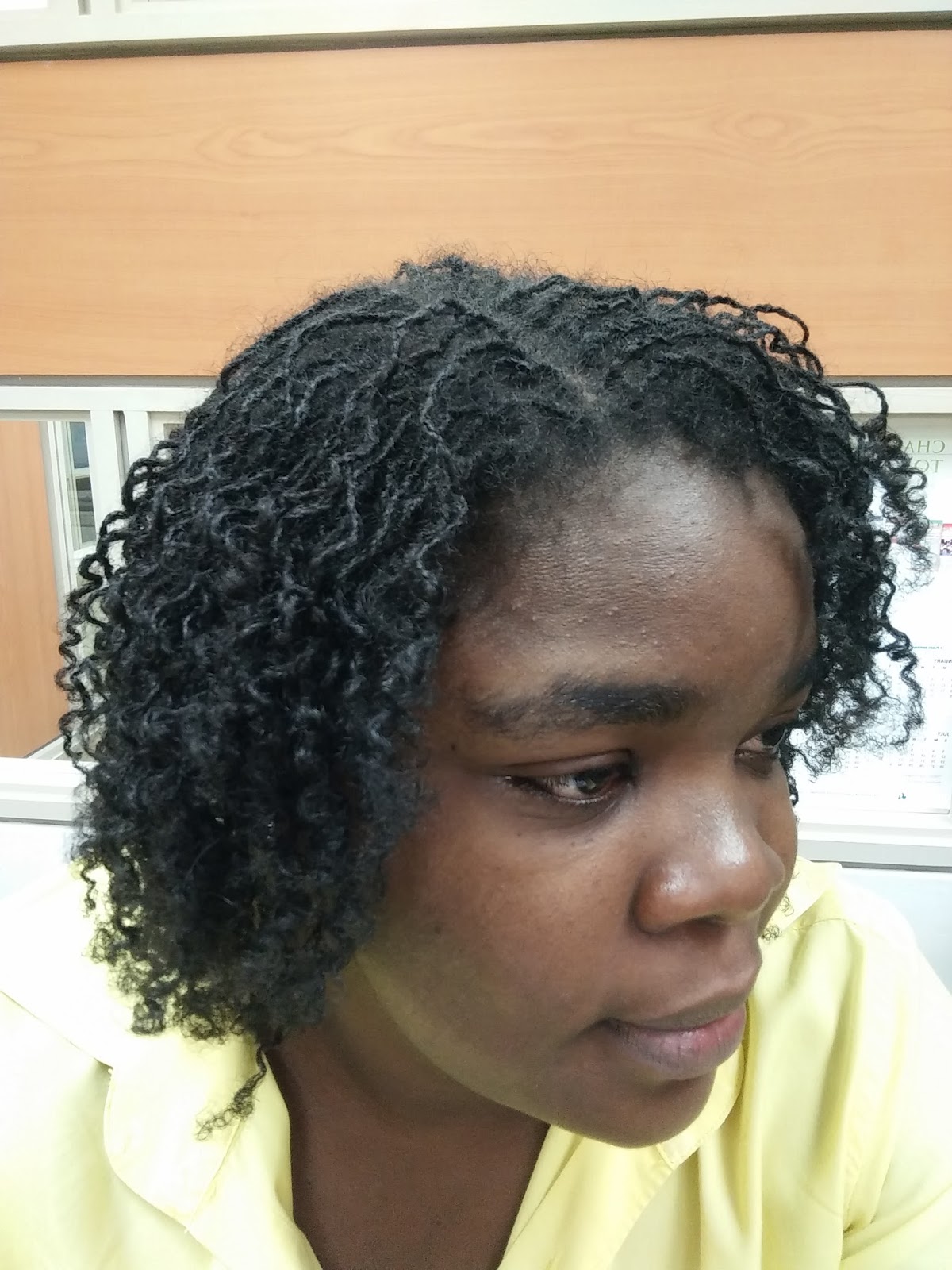 The Loc Addict: Why Microlocks