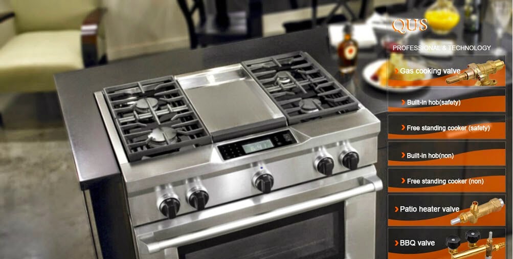 Gas Burner Valves,Gas Top Burner Valve, Gas Cooker valve: Double plate ...