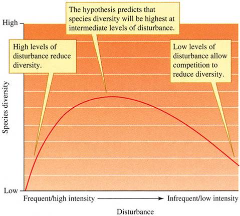 Climactually: Storms, Species and Ecosystem Stability