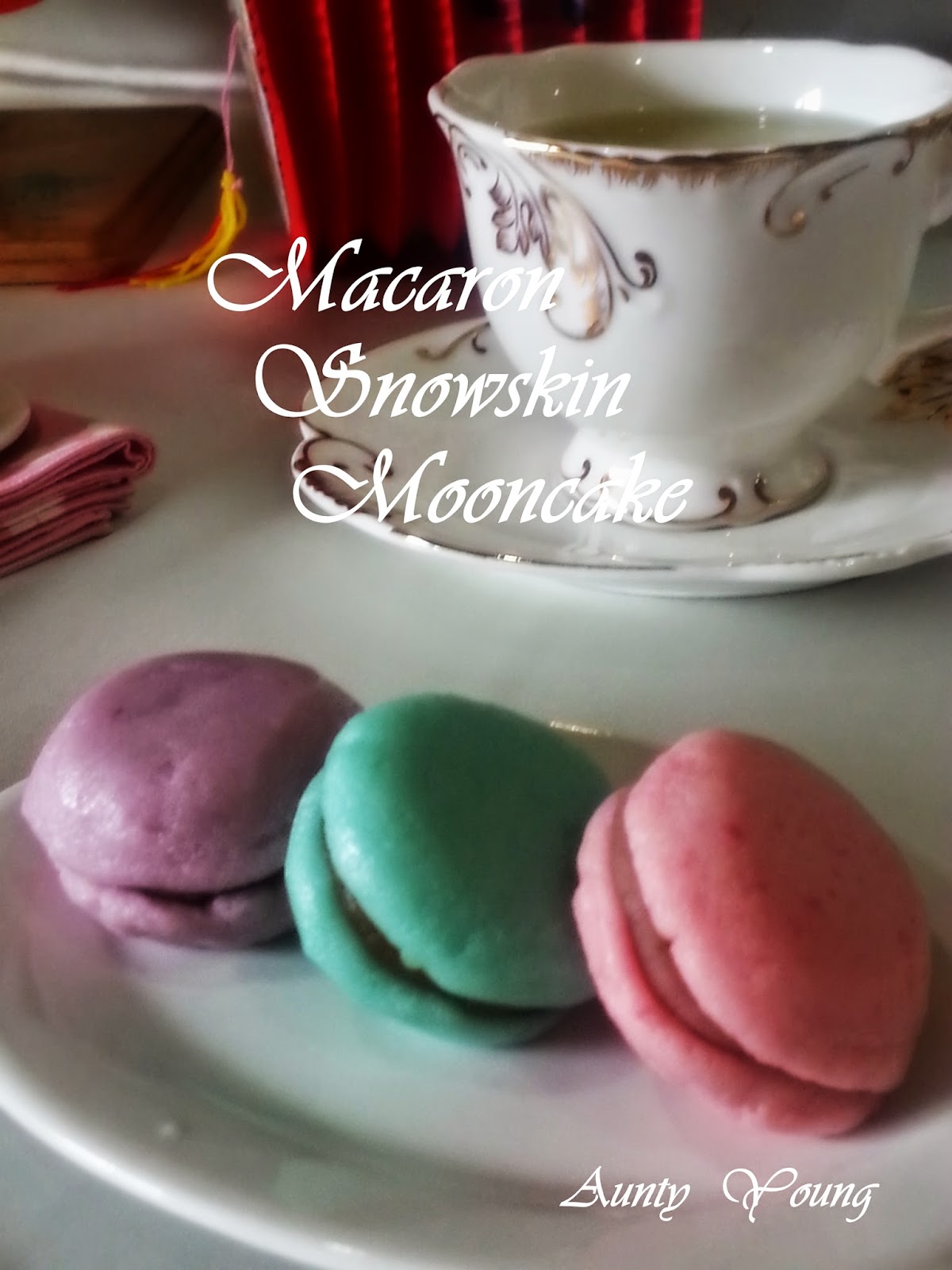 Aunty Young（安迪漾）: 马卡龙冰皮月饼 (Macaron Snowskin Mooncake)