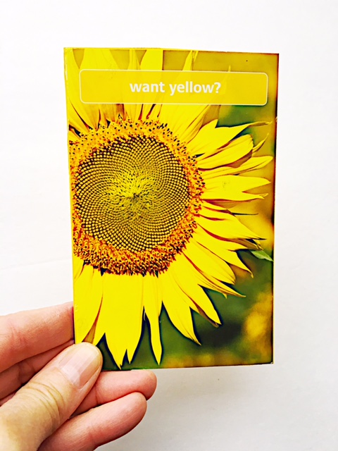 The Lost Art of Letter Writing...Revived!: Sunshine Mail...Flip Book