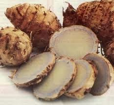 Khasiat dan Manfaat Temu Hitam - G-Spot Healthy Living