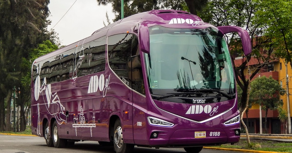 MAXIBUSES: ADO GL