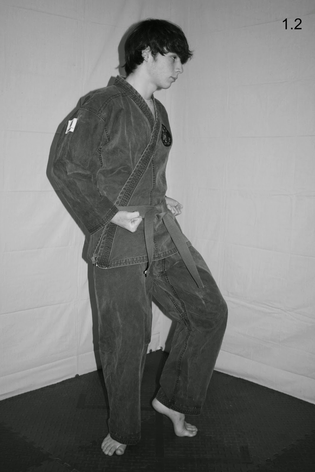 Righting Crime Fiction: A Writer's Guide to Fighting: The Ready Stance